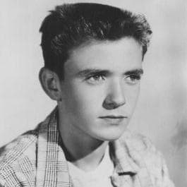 Tommy Kirk Hardy Boys