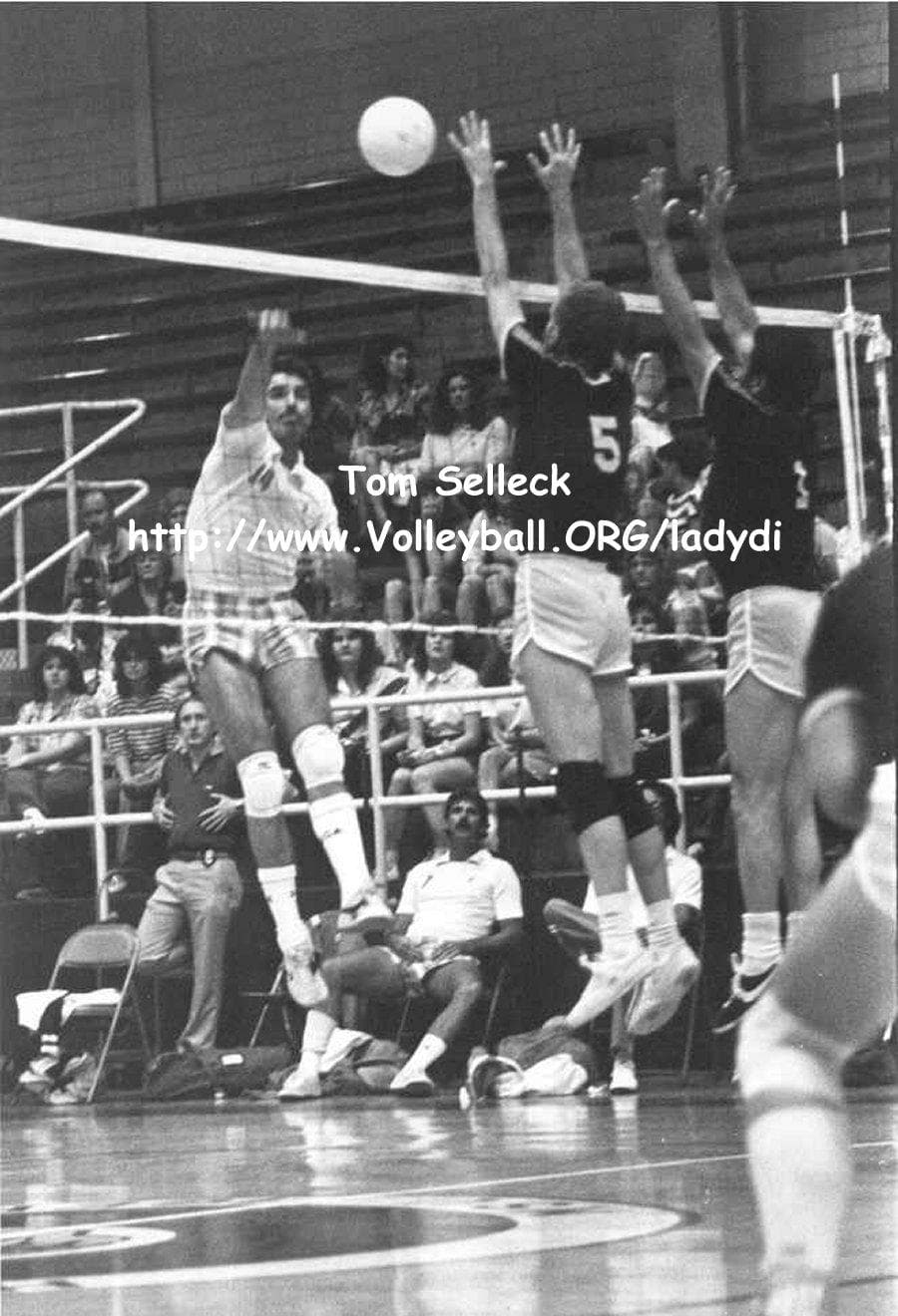 Celebrities Who Played Volleyball in School | List of Famous People Who ...