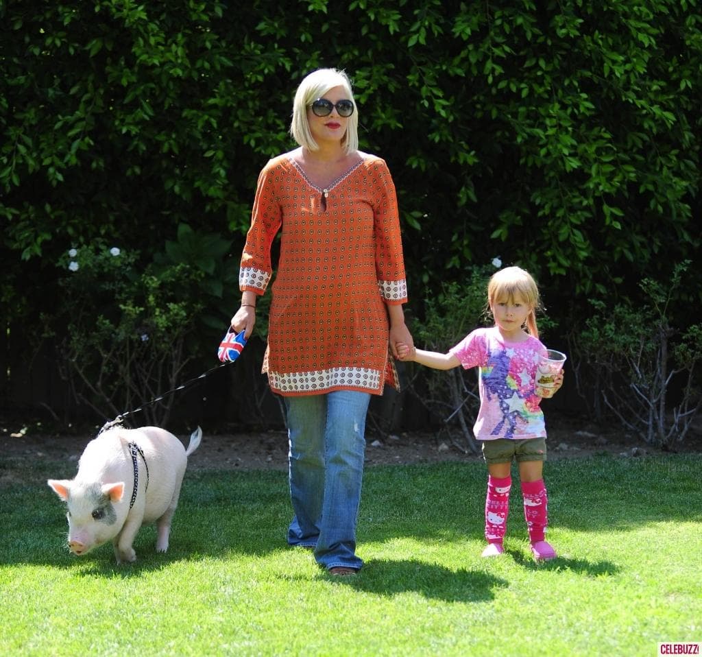 Celebrities Who Have Pet Pigs | Famous People With Pet Pigs