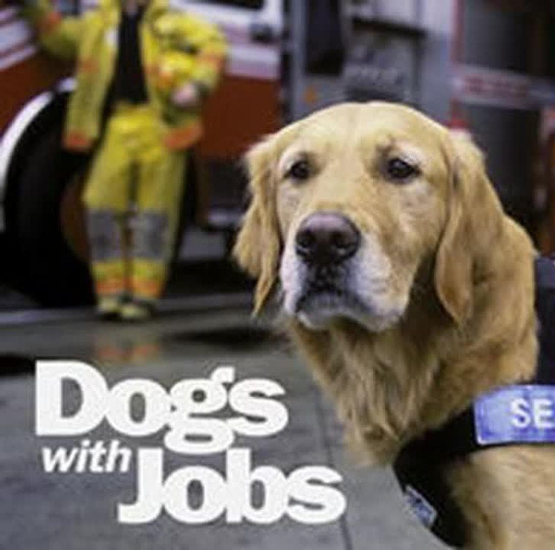 The 65 Best TV Series With Dogs, Ranked By Fans