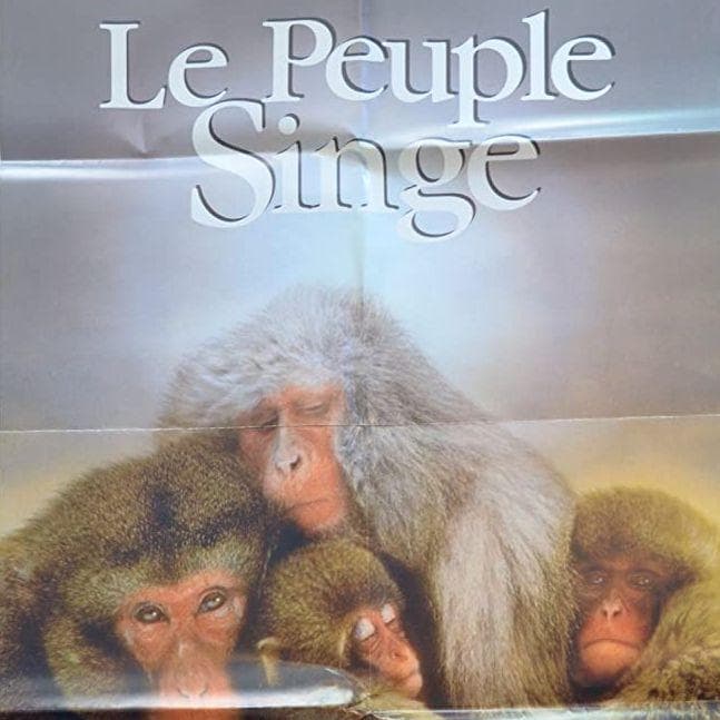 The 50 Best Movies With Monkey in the Title, Ranked