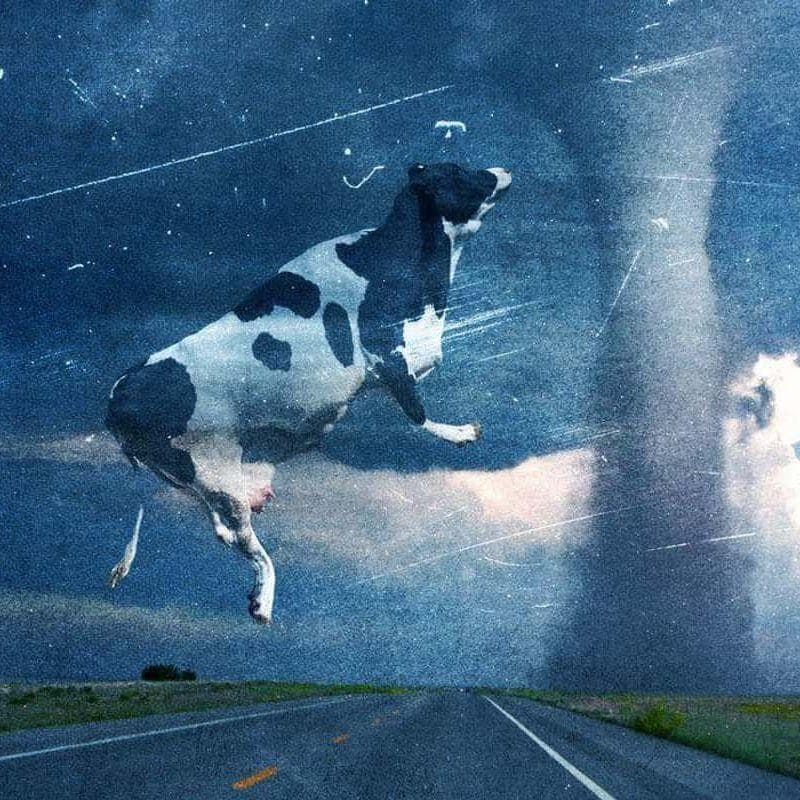 7 Natural Disaster Movies That Make The Biggest Scientific Mistakes
