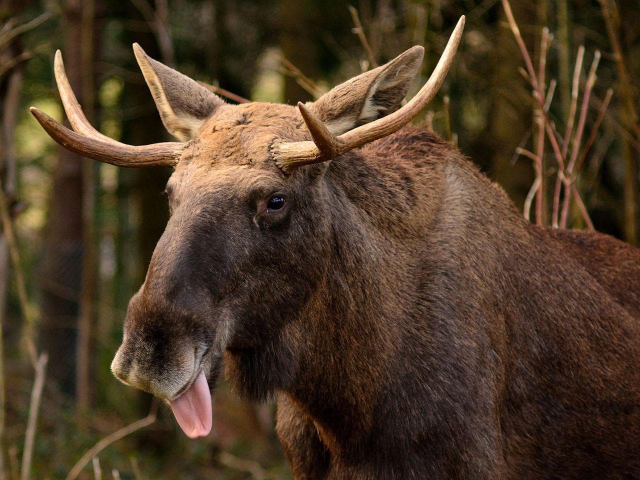 Bizarre Historical Events We Can't Believe Actually Happened