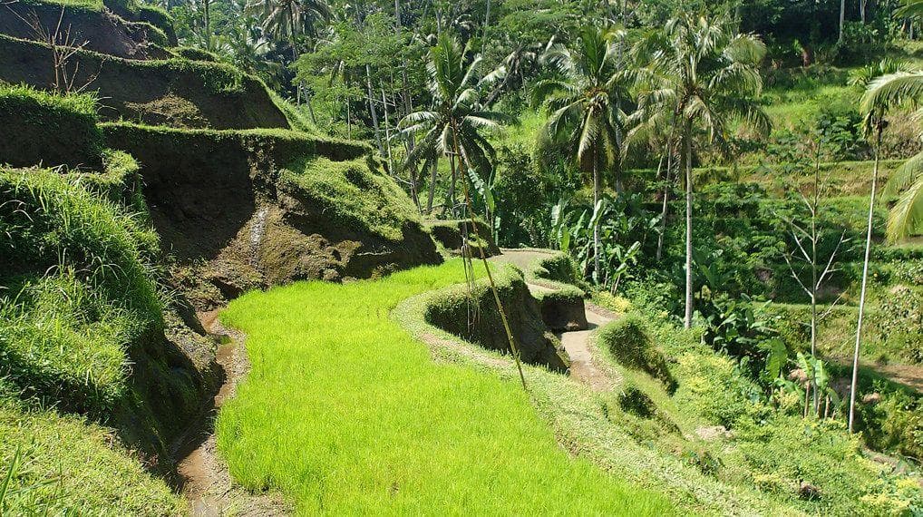 Most Beautiful Cities in Asia | Prettiest Asian City List