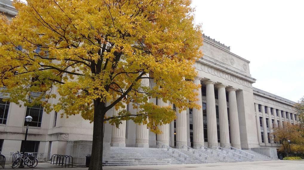 What Is The Biggest University In The USA?