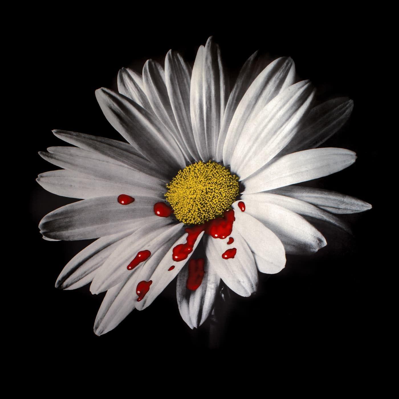 The Best Foreign Fantasy Movies, Ranked By Fans