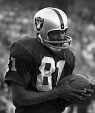 The 100+ Best Raiders Players Ever, Ranked By Fans