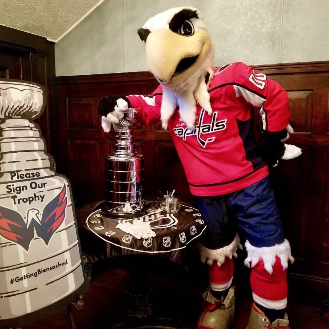 All 30 NHL Mascots, Ranked By Hockey Fans