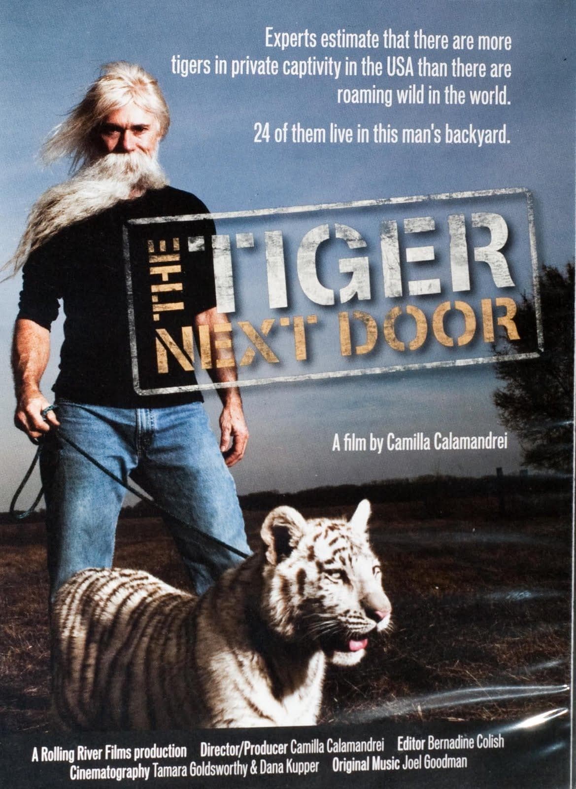 List of 50+ Movies With Tiger in the Title, Ranked