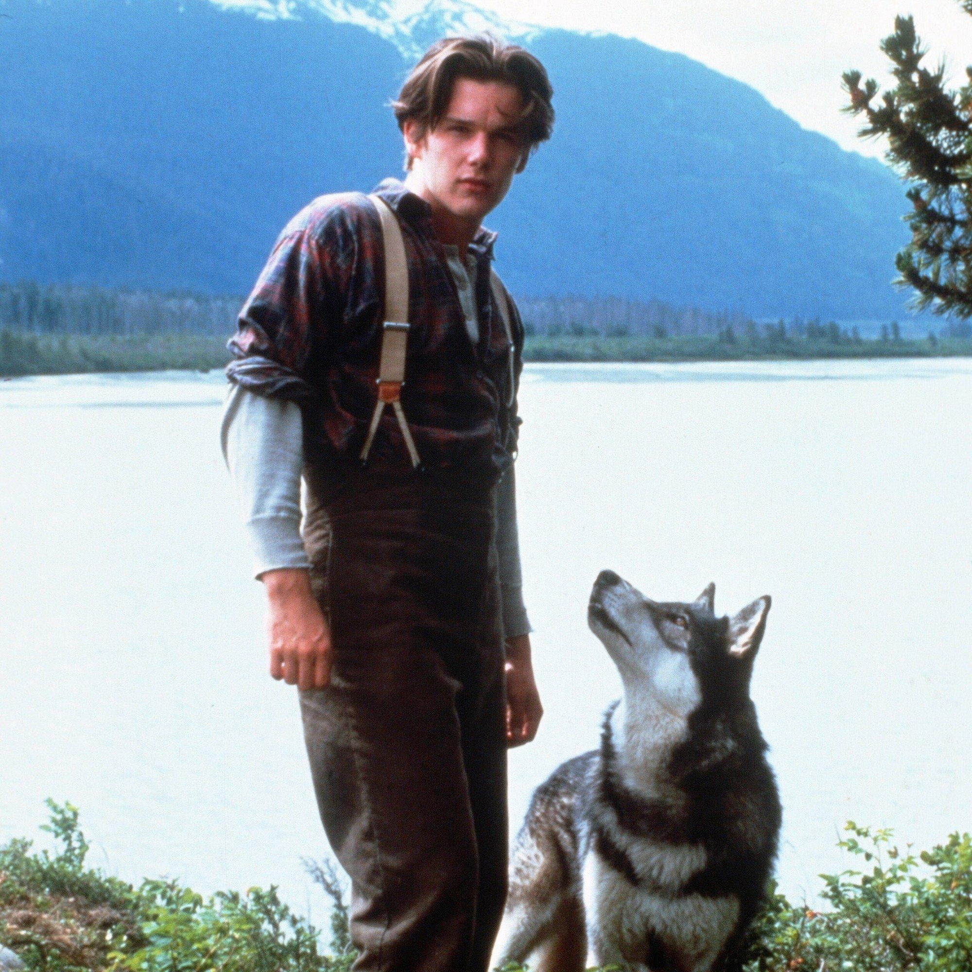 The 15 Best Movies About Grizzly Bears