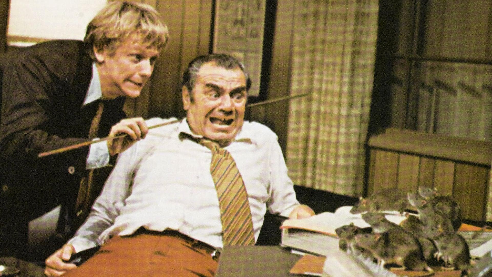 The 11 Best Horror Movies With Rats And Rodents Of All Sizes