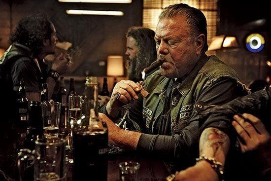 The Sons of Anarchy Cast: Where Are They Now? (16 Photos)