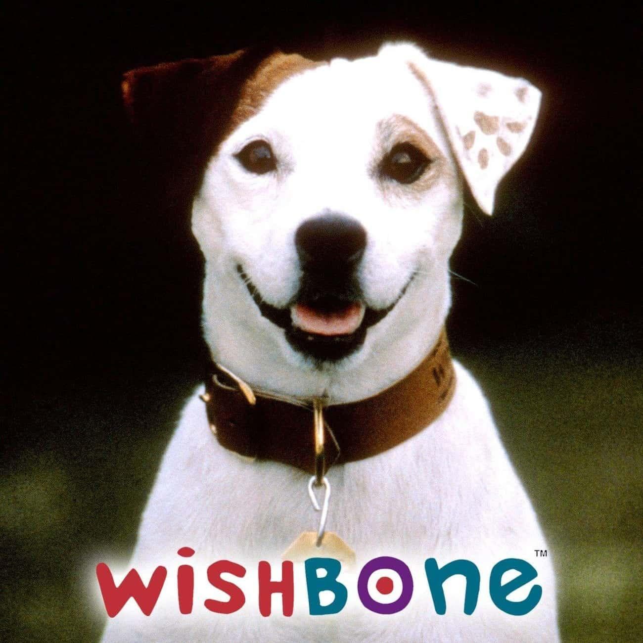 The Best '90s PBS Shows, Ranked