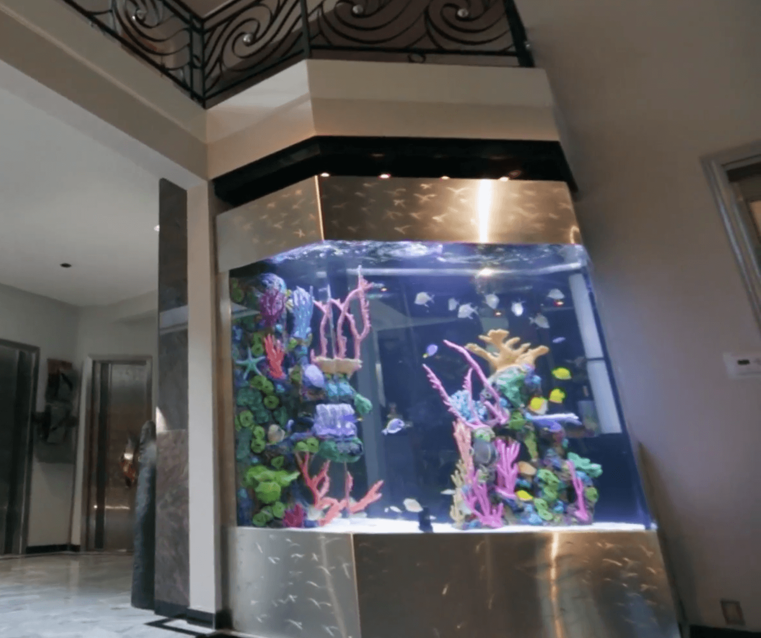 Celebrities with Fish Tanks | Famous People Who Have Aquariums