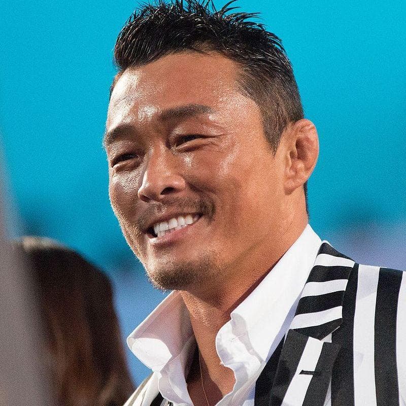 The 20 Best Japanese UFC Fighters Of All Time, Ranked By Fans