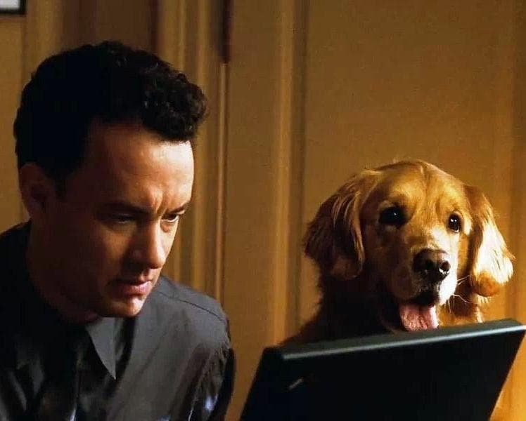 The 13 Best Movies & Shows With Golden Retrievers, Ranked