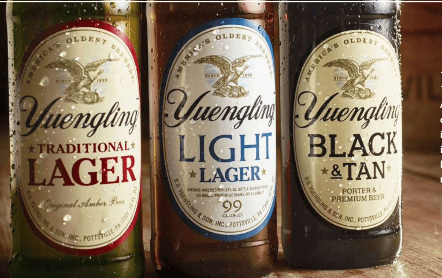 The Best Beer Brand Names