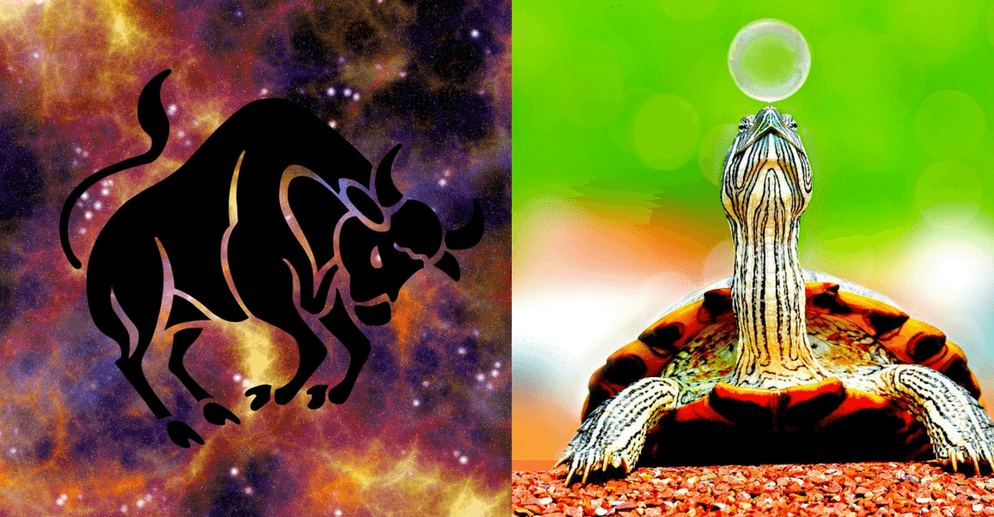 Your Ideal Pet According To Your Zodiac Sign