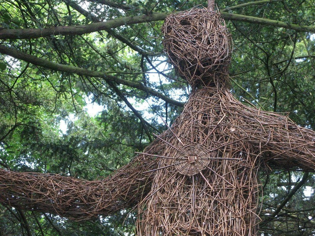 Which Cult Ritual Are You Based On Your Zodiac?