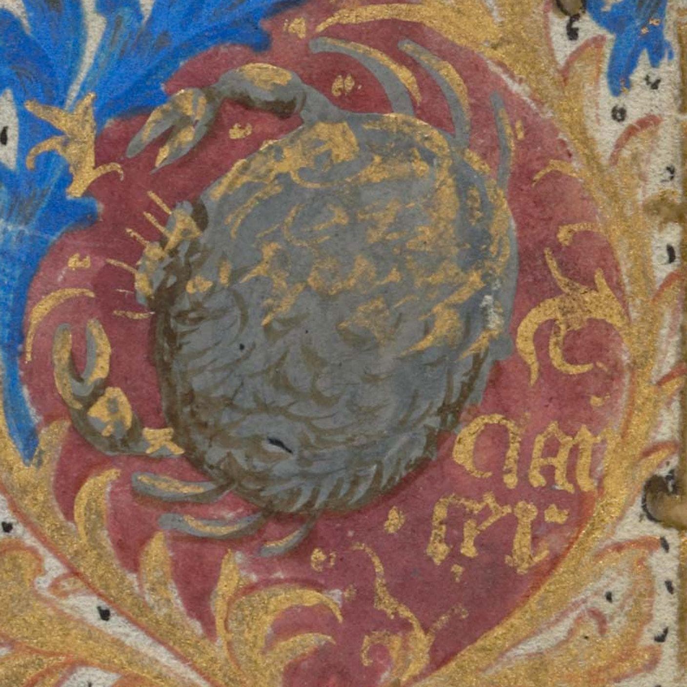 Which Zodiac Sign Is Your Destined Enemy?