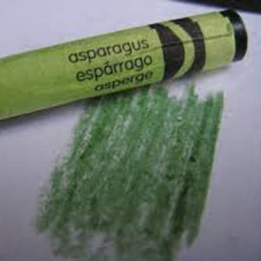 Best Crayola Crayon Color Names: List of Funny Crayon Names