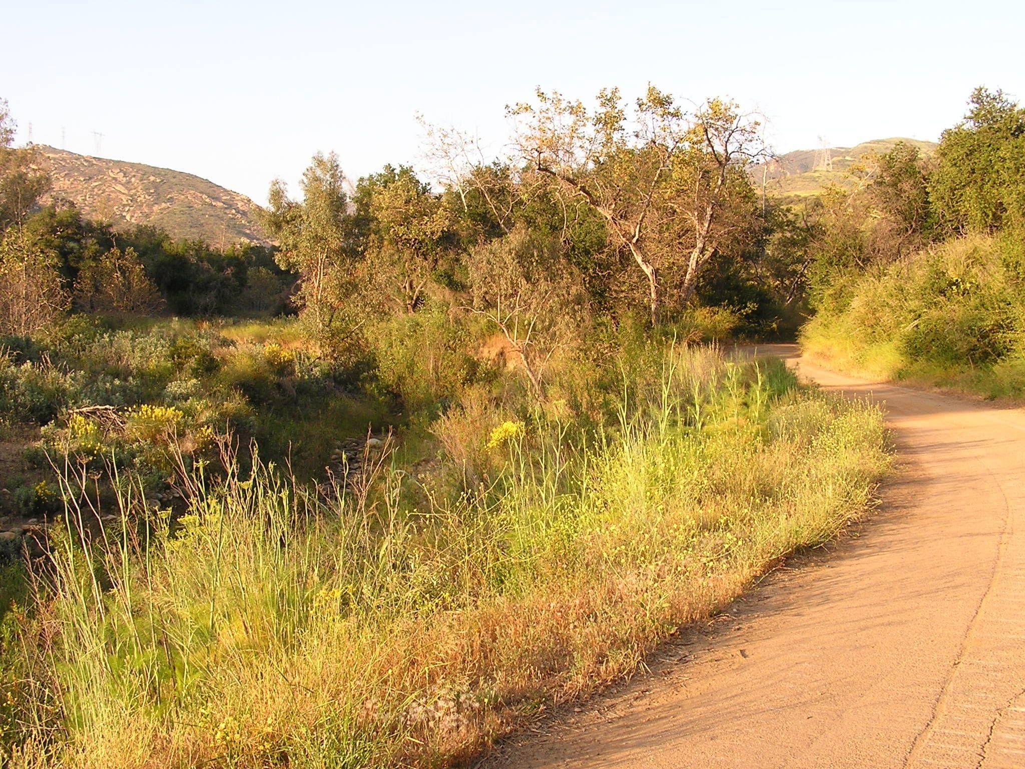 The 12 Most Terrifying Haunted Places in California, Ranked By Scare ...
