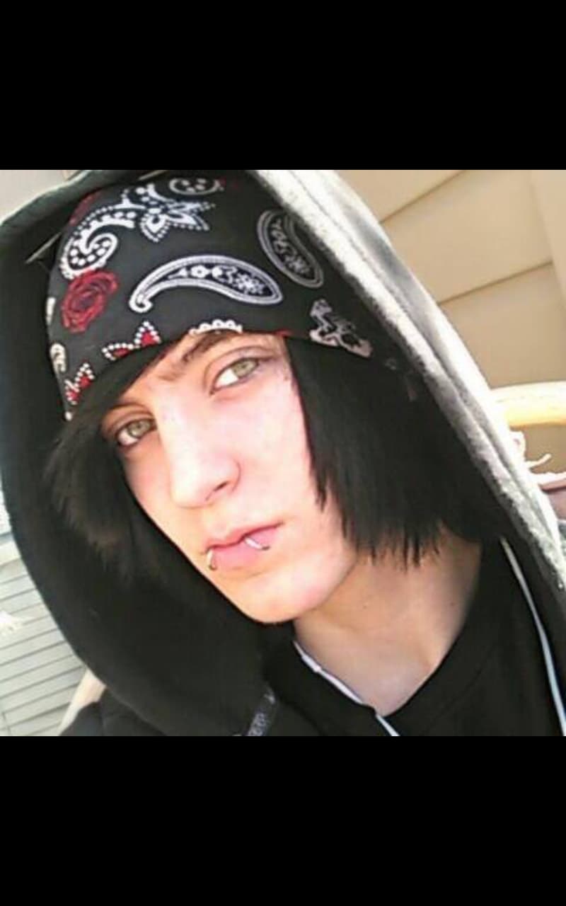 Who Wrote Shrek? | List of Shrek Movie Writers