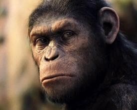 Famous Monkey Cartoon Characters