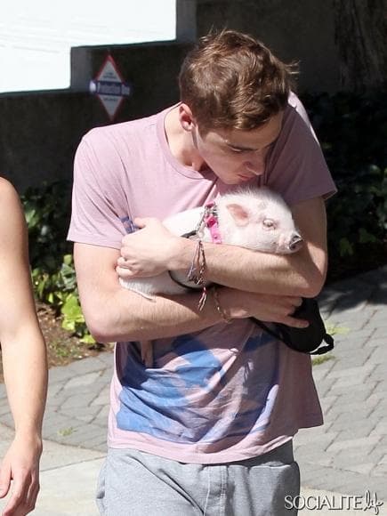 Celebrities Who Have Pet Pigs | Famous People With Pet Pigs
