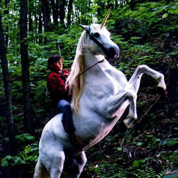 The 16 Best Movies About Unicorns, Ranked By Fans
