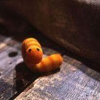 The Cutest Muppets Of All Time, Ranked