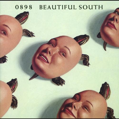 The Best Beautiful South Albums, Ranked By Fans