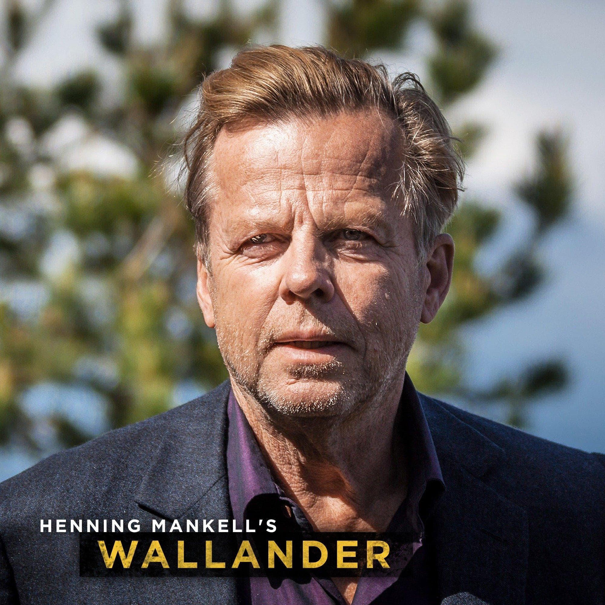 The 25+ Best Crime & Conspiracy Series, Ranked By Fans