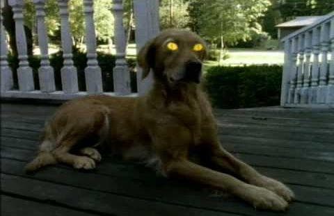 Graveyard Shift Readers Share Traumatizing Single Shots From Movies & TV