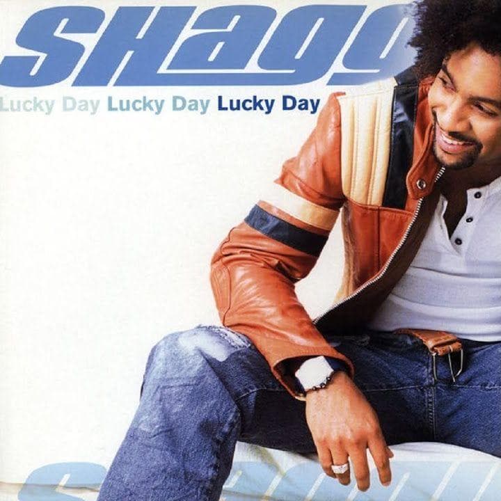 The Best Shaggy Albums, Ranked By Fans