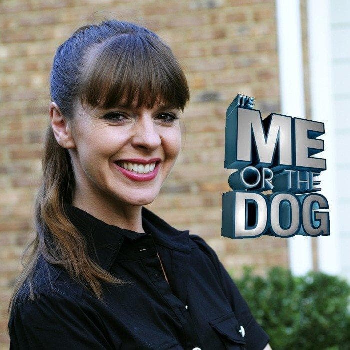 The 15 Best TV Shows About Pets