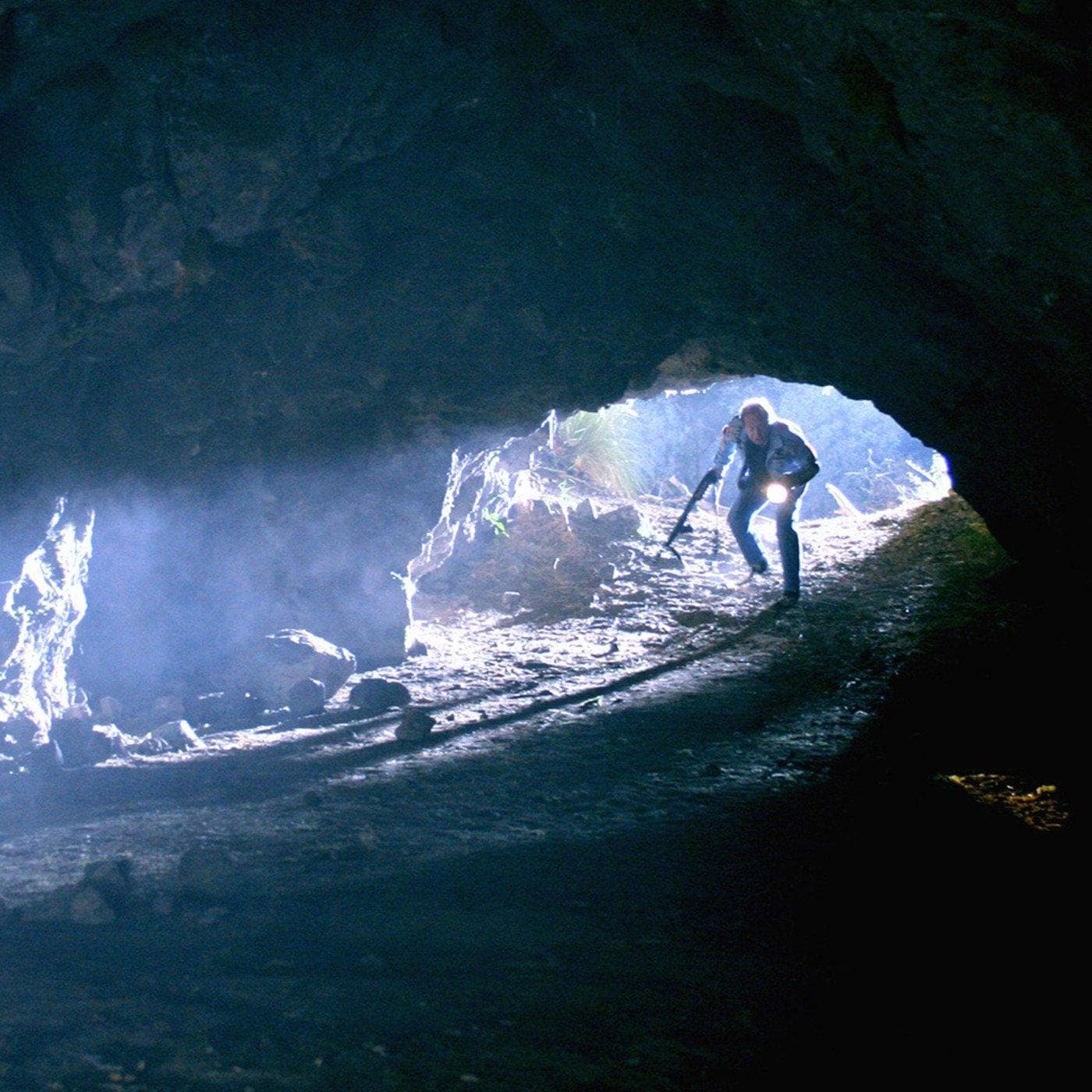 The 20 Best Cryptid Horror Movies, Ranked By Fans