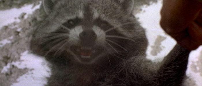 Unexpectedly Dark Scenes In Otherwise Lighthearted Movies