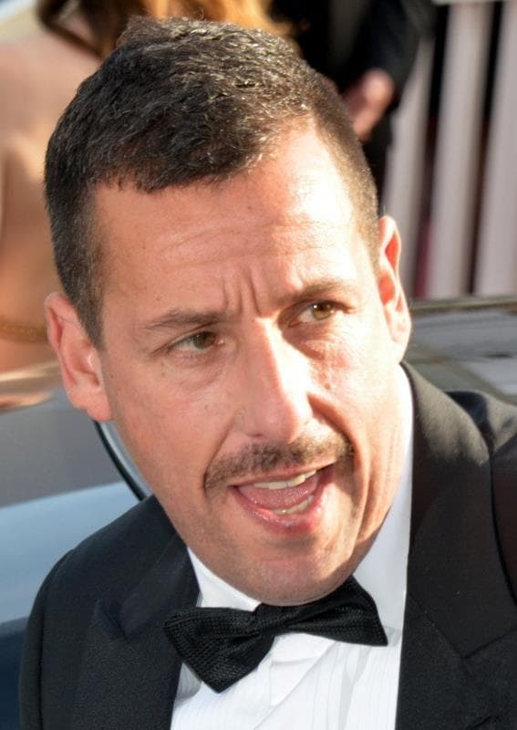 Famous People Who Married Their Fans | Celebrities Who Wed Normal People