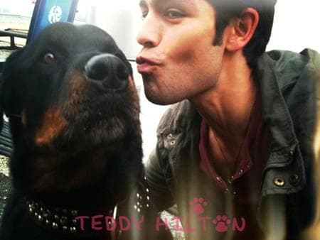 28 Celebrities Who Adopted Pit Bulls