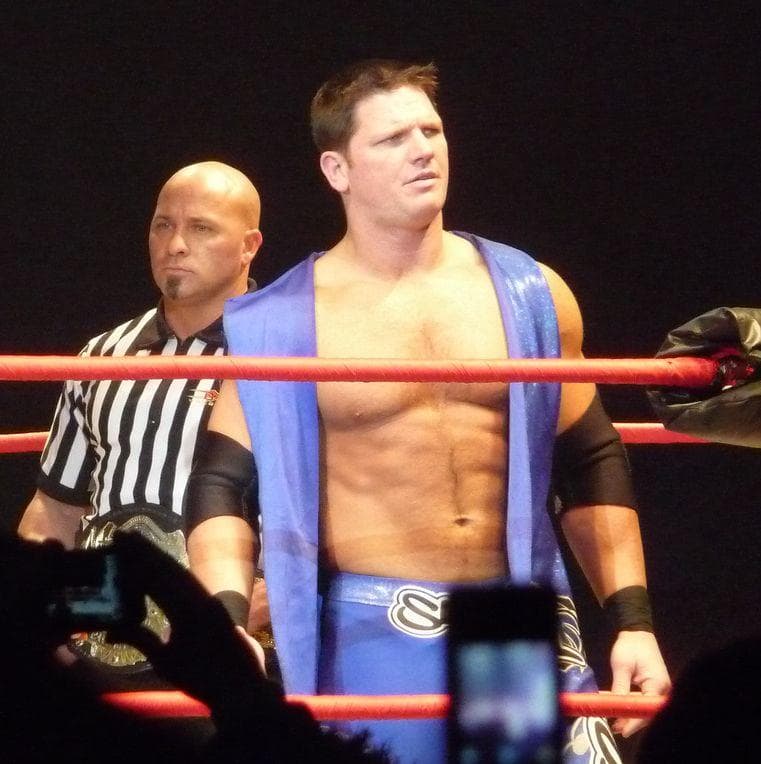 The Best Wrestlers With Beards And Hair-Raising Moves