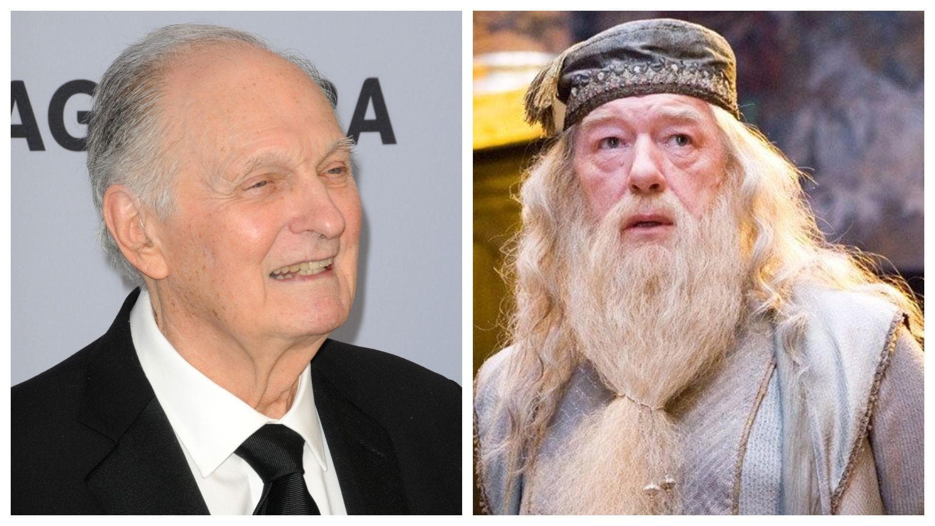 Who Would Star In An Americanized 'Harry Potter'?