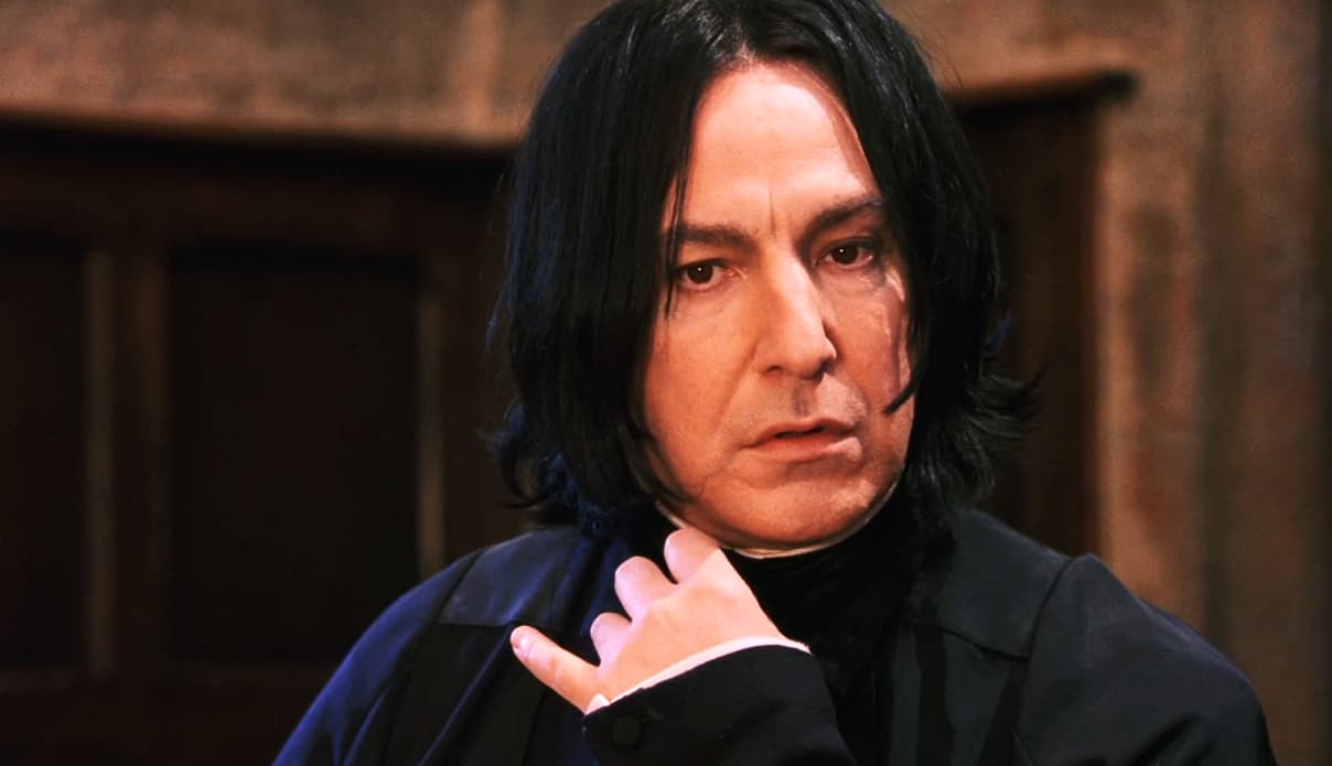 How The Cast Of The 'Harry Potter' Franchise Landed The Role