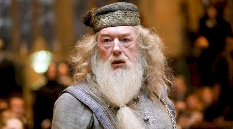 Harry Potter Cast: Where Are They Now (with Pictures)