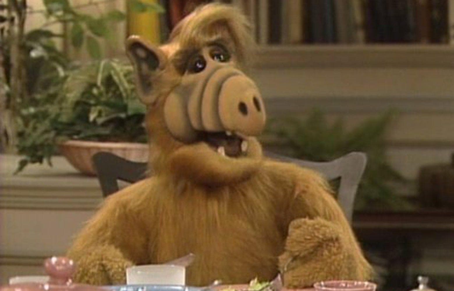 Best Sitcom From The Year You Were Born