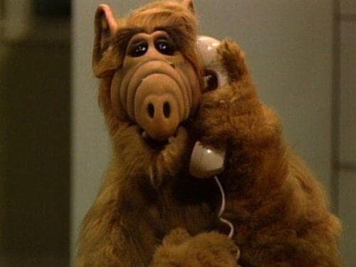 Jokes From Nostalgic Sitcoms That Still Make Us Laugh