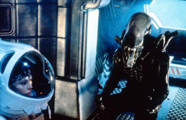 The Best Movies That Take Place in One Day or Less