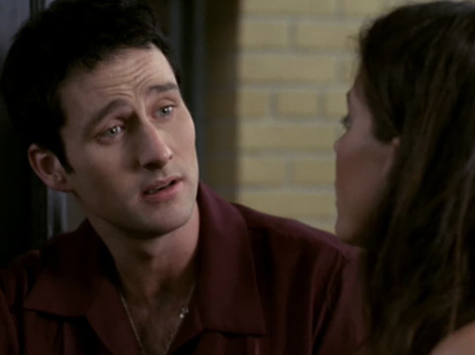 Underrated TV Characters Who Only Stick Around For One Season