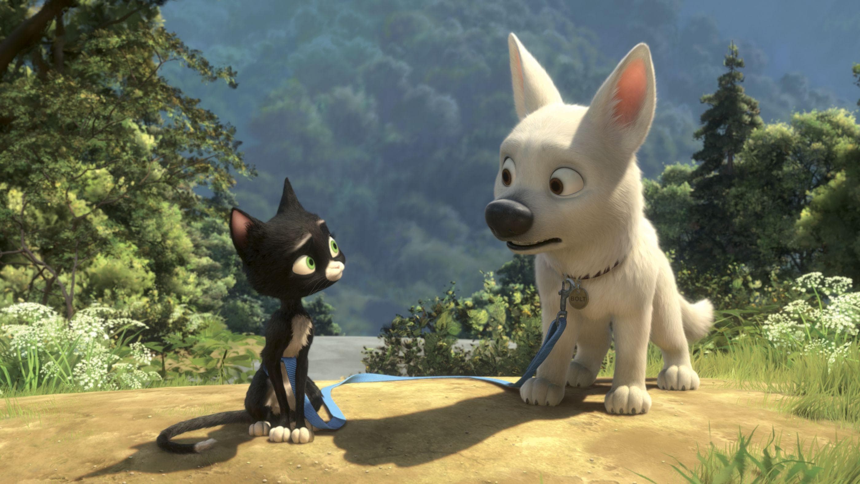 15 Good Movies You Can Watch With Your Dog, Ranked