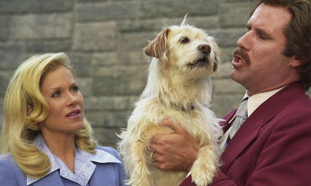 20 Red Flag Movies, Ranked